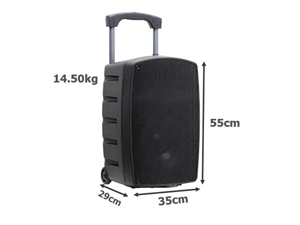 Gold Audio PA2312-EE 300 W 2x Mikrofonlu El Telsiz Portatif Taşınabilir ...