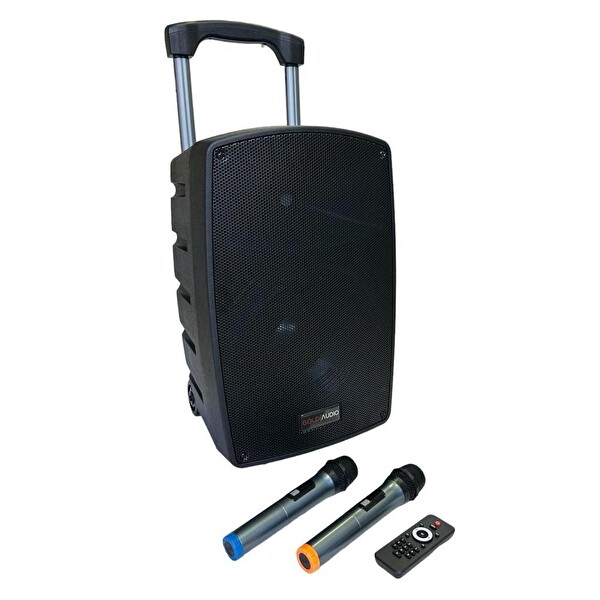 Gold Audio PA2312-EE 300 W 2x Mikrofonlu El Telsiz Portatif Taşınabilir ...