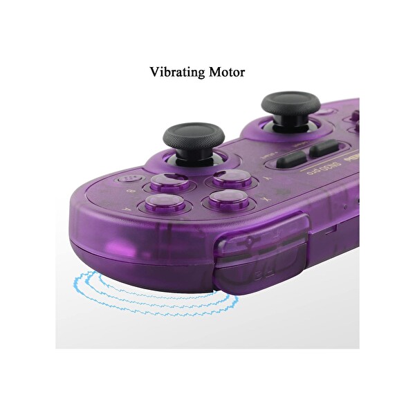 8bitdo SN30 Pro Bluetooth Kablosuz Transparan Mor Nintendo Switch OLED ...